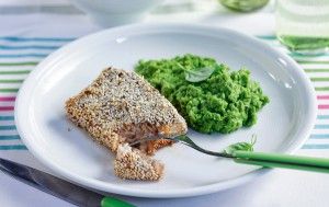 10 νόστιμες συνταγές με σολομό για κάθε μέρα | cantinamag.gr