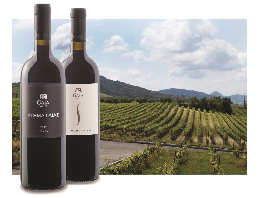 Γιατί το αγιωργίτικο είναι μια βελούδινη δύναμη; | cantinamag.gr