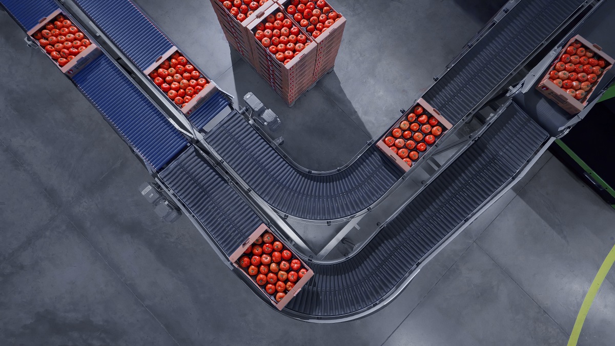 Wonderplant: Ντομάτες σε συνθήκες μόνιμης άνοιξης | cantinamag.gr